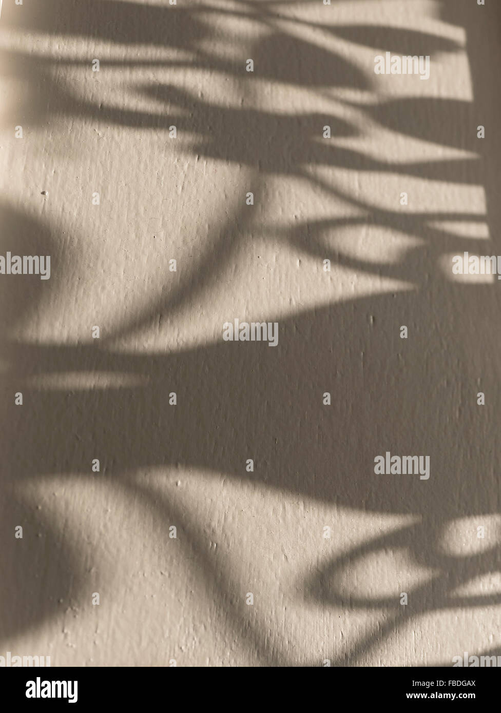 Shadow on Wall of Ornate Window Blind Stock Photo - Alamy