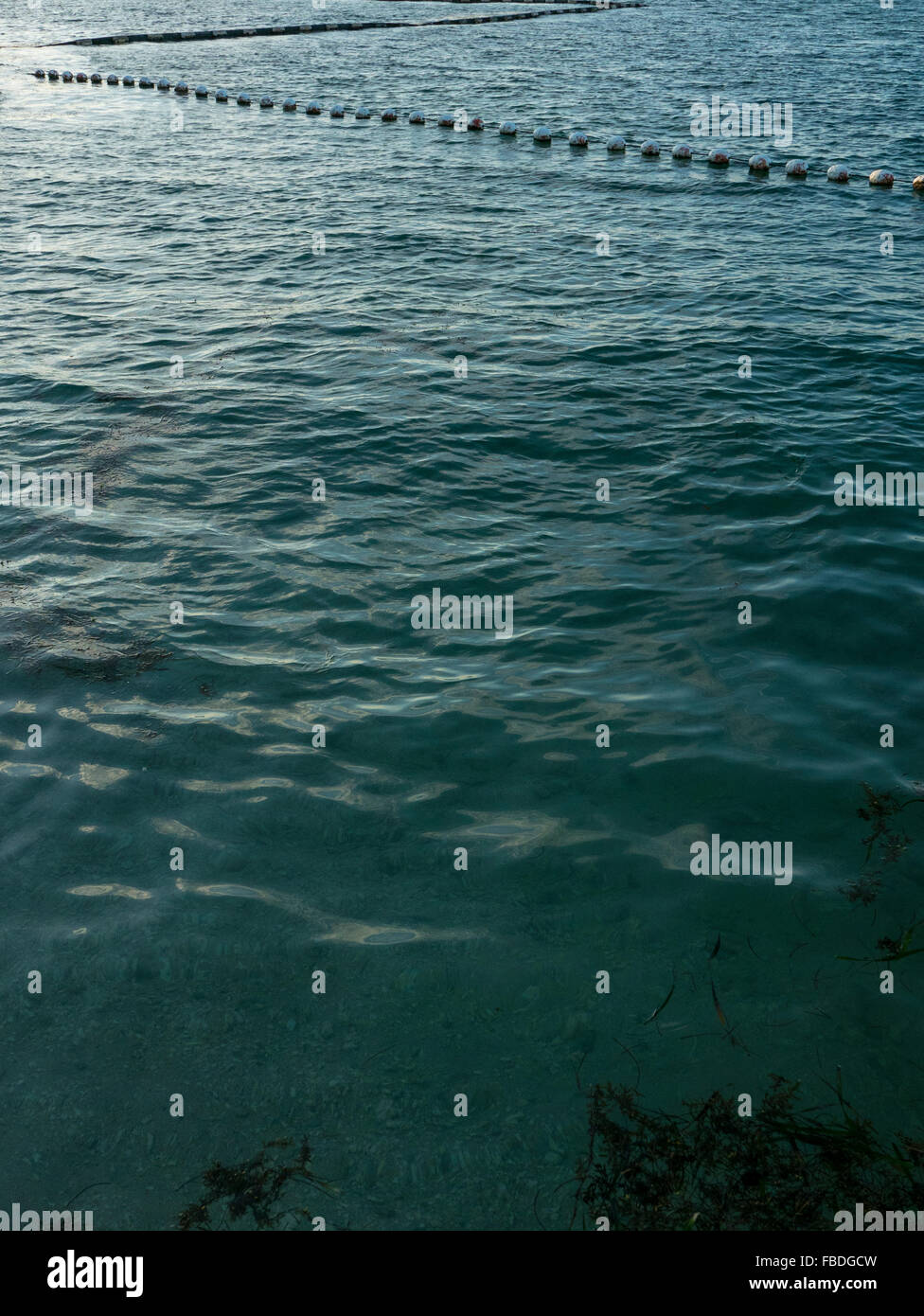 Floating net hi-res stock photography and images - Alamy