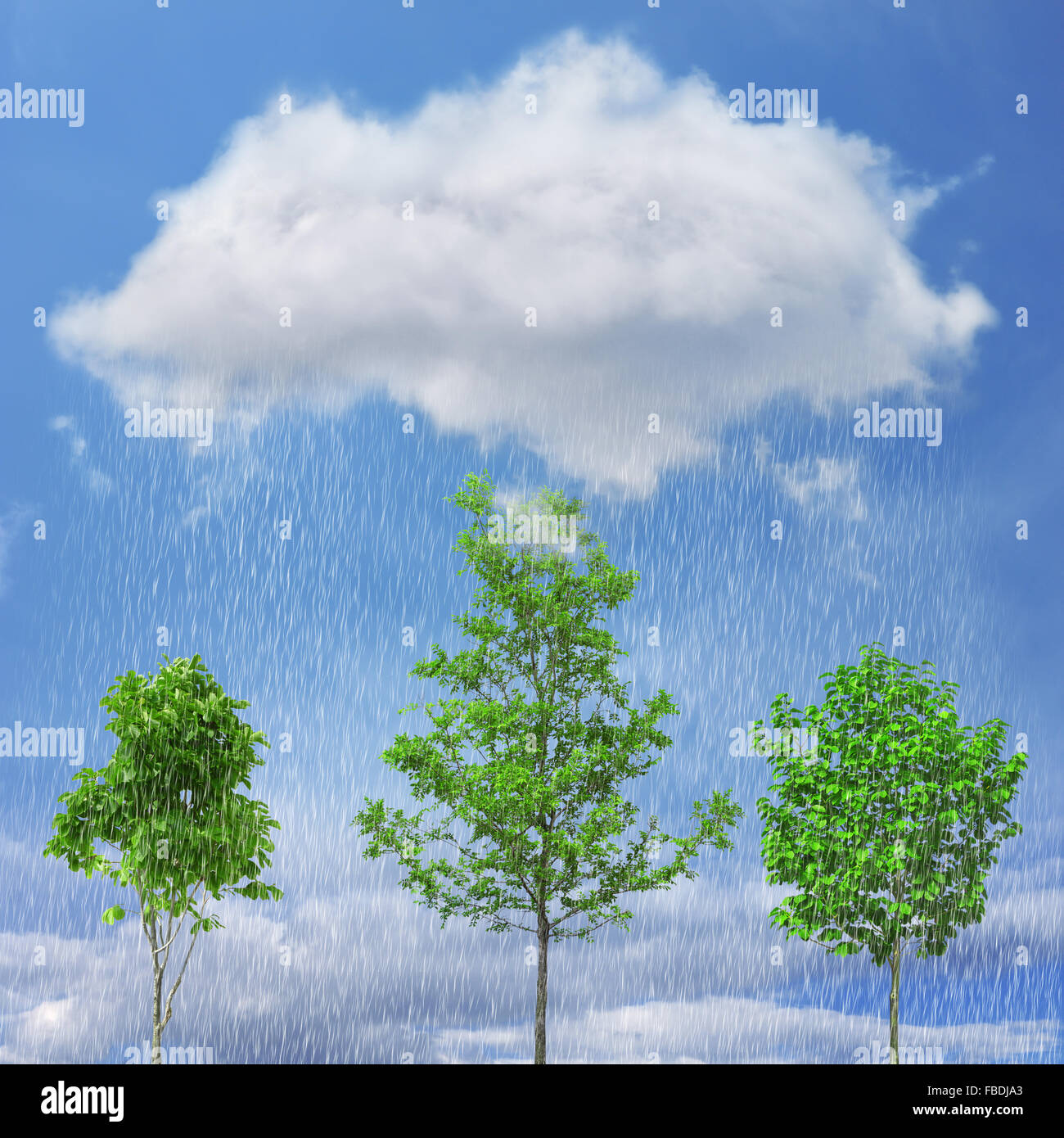 View of the green trees below a rainy cloud Stock Photo - Alamy