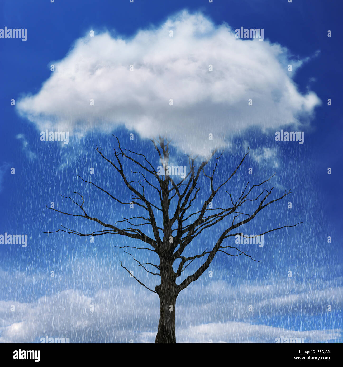 Dramatic, dry, lonely tree underneath a acid rain cloud Stock Photo - Alamy