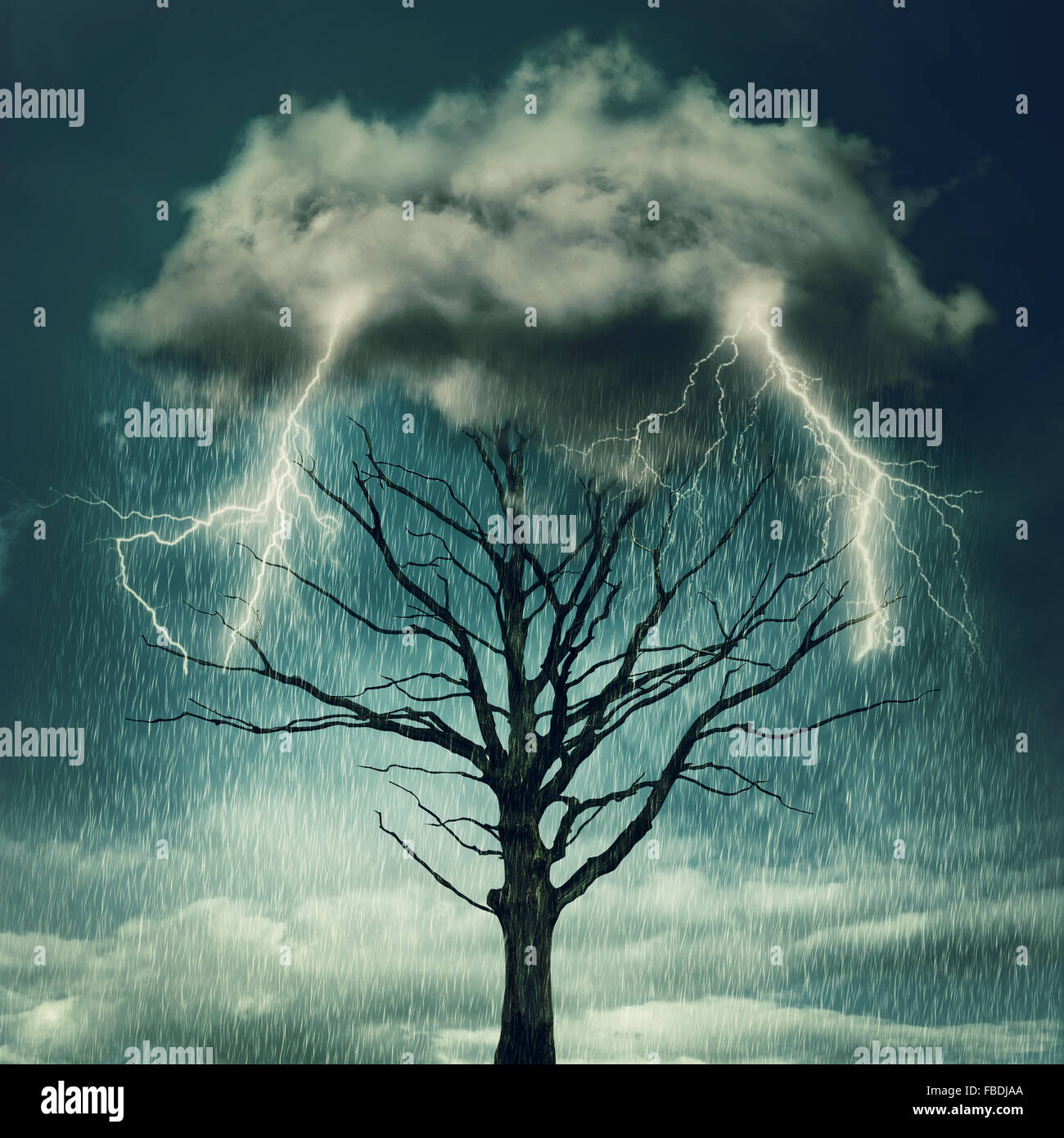 Lightning hitting tree hi-res stock photography and images - Alamy