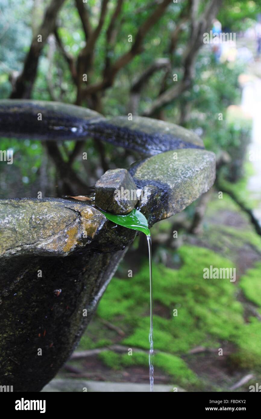 Water Dripping Of Leaf From Stone Container In Yard Stock Photo - Alamy