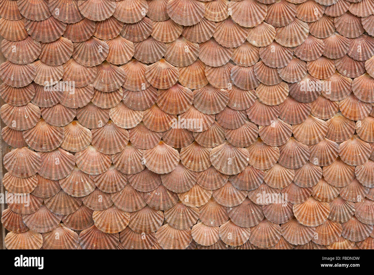 Ince Castle nr Saltash Cornwall,built about 1642 and is the home of ...