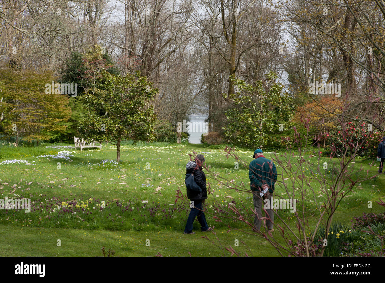 Ince Castle nr Saltash Cornwall,built about 1642 and is the home of ...