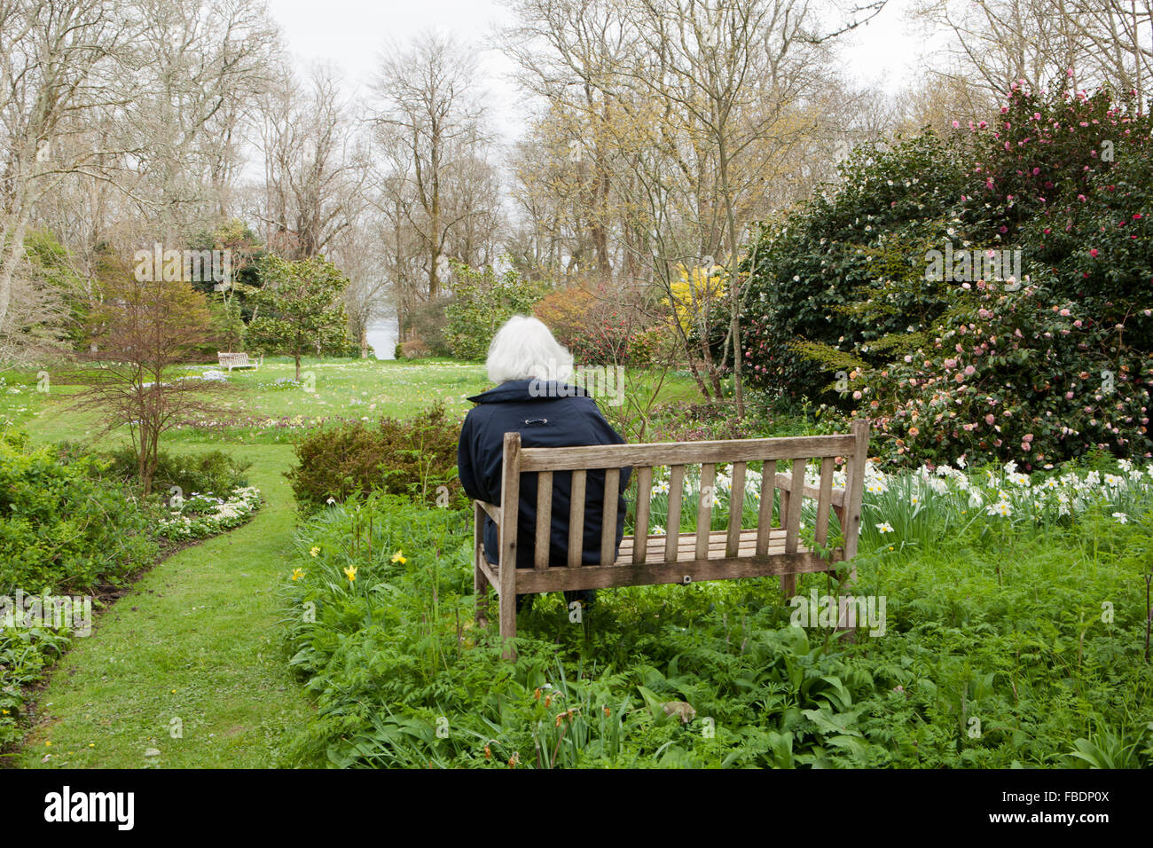 Ince Castle nr Saltash Cornwall,built about 1642 and is the home of ...