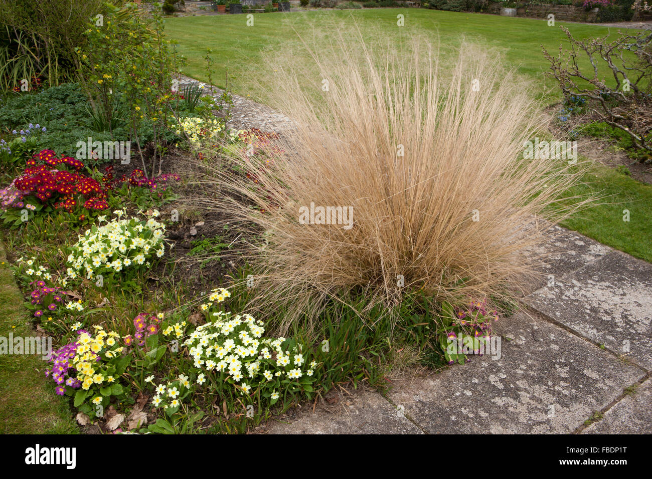 Ince Castle nr Saltash Cornwall,built about 1642 and is the home of ...