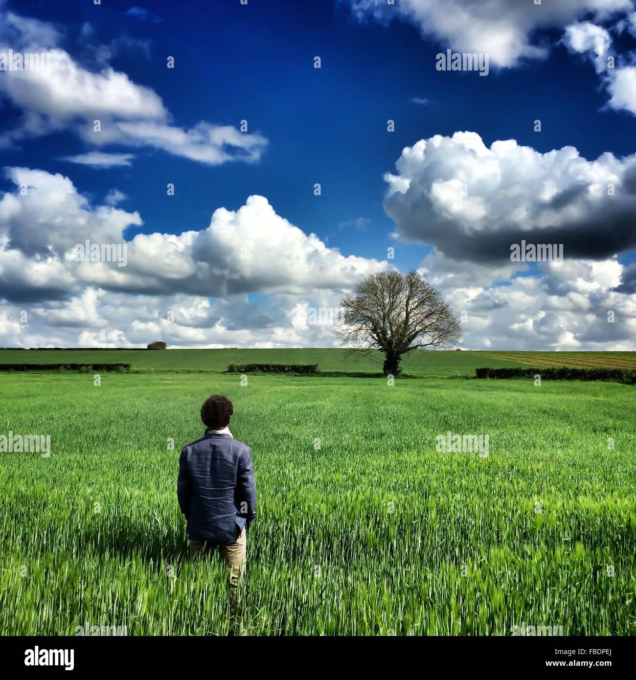 Man standing in agriculture field hi-res stock photography and images ...