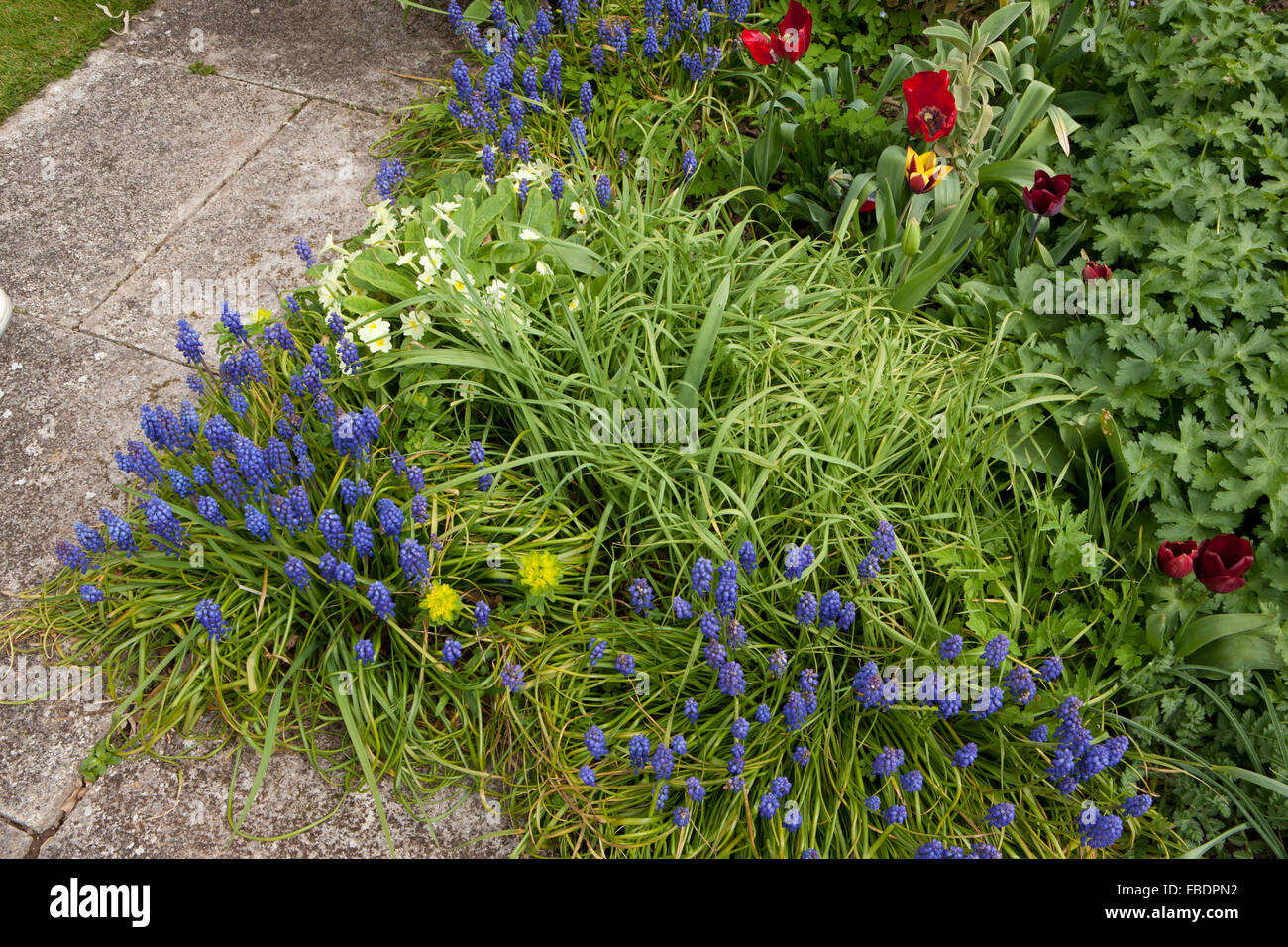 Ince Castle nr Saltash Cornwall,built about 1642 and is the home of ...