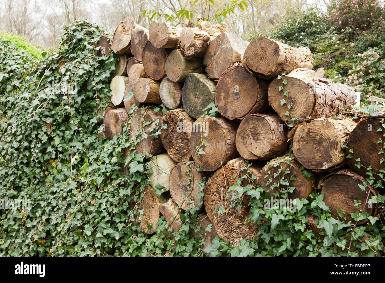 Wood eaves cutting hi-res stock photography and images - Alamy