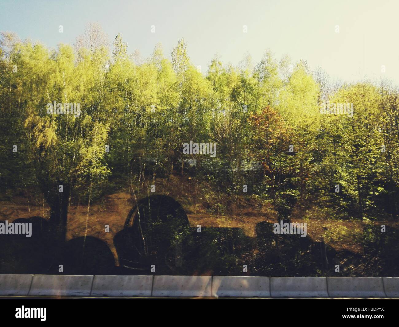 Trees through the window hi-res stock photography and images - Alamy