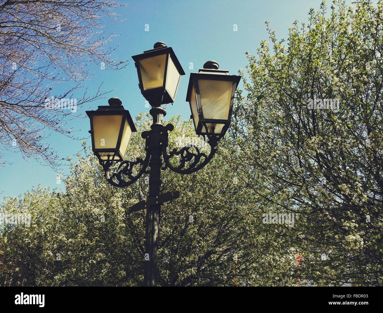 Ornate Street Light Against Trees Covered In Spring Foliage Stock Photo ...