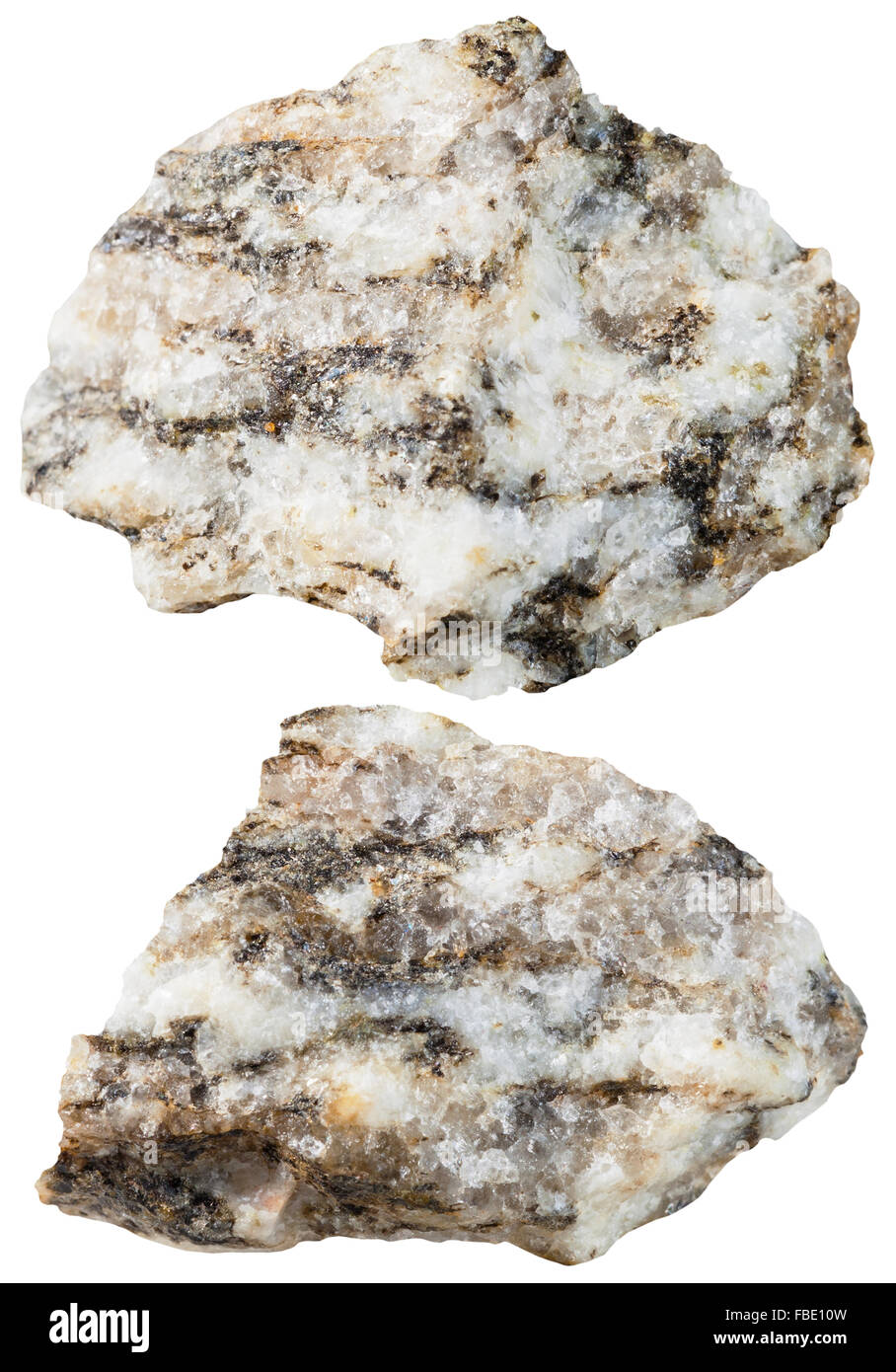 macro shooting of specimen natural rock - two pieces of Gneiss mineral ...