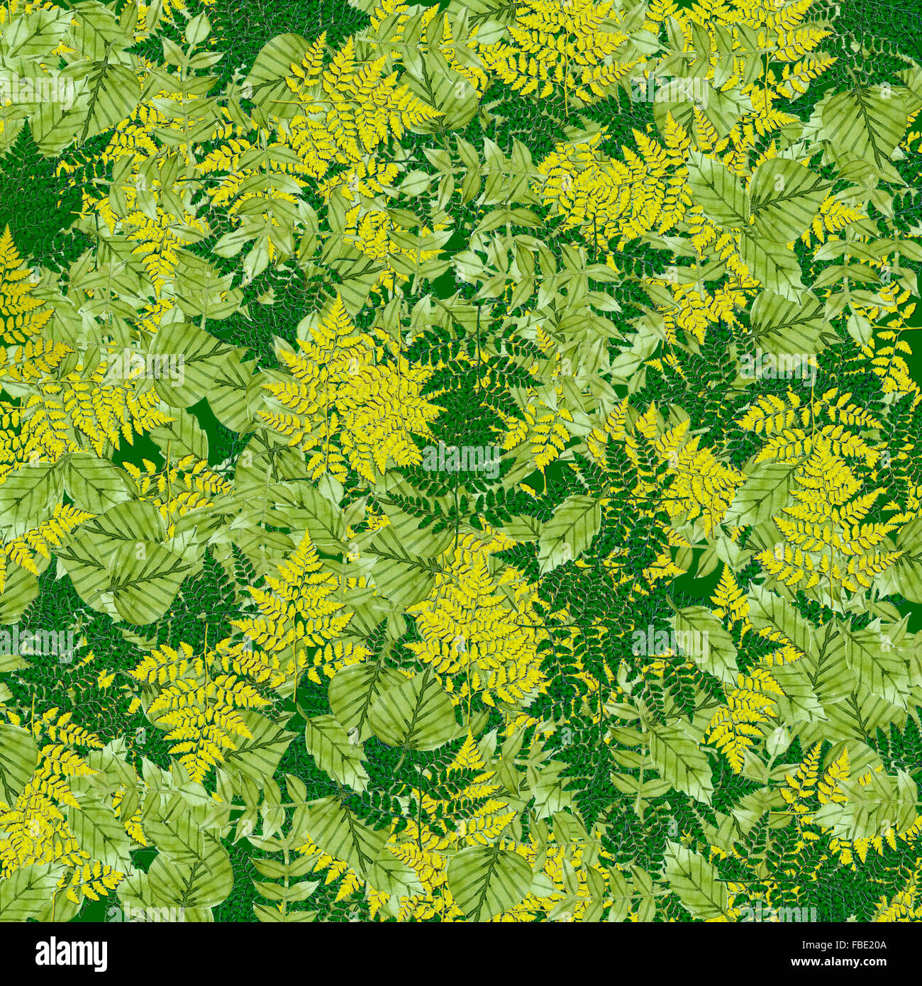 Assorted fallen leaves hi-res stock photography and images - Alamy