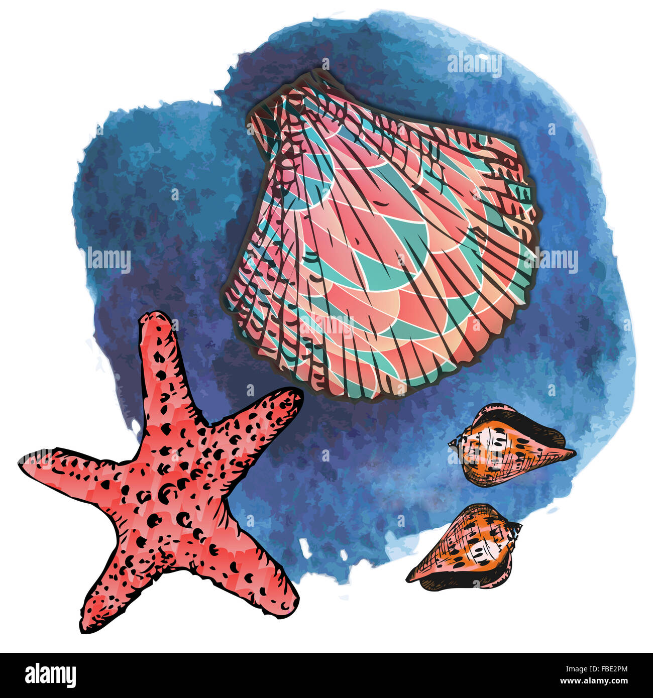 Starfish Graphic Design