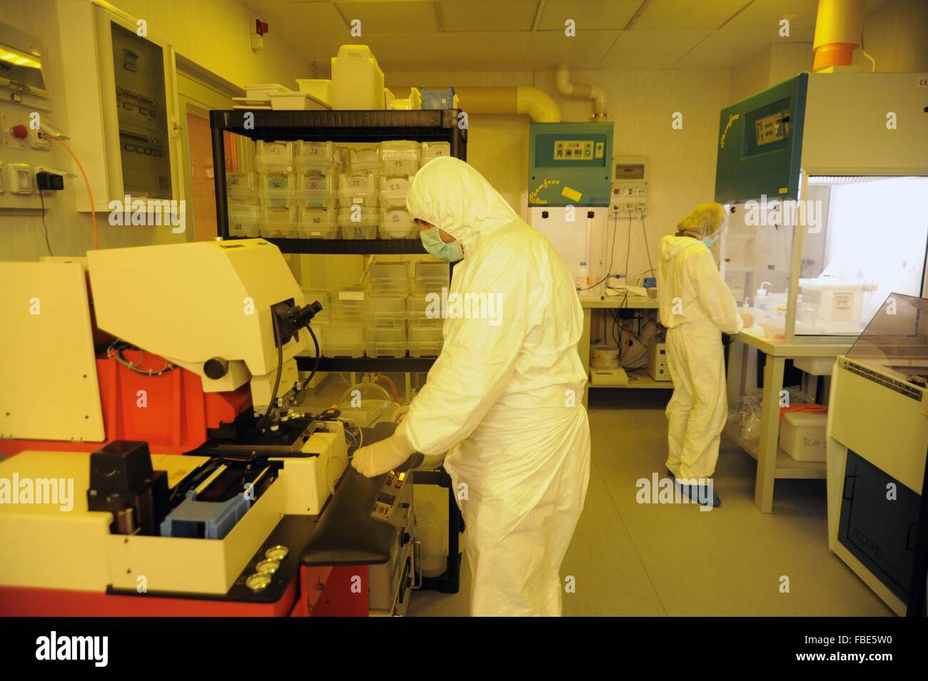 University of Ferrara (Italy), Department of Physics, scientific ...