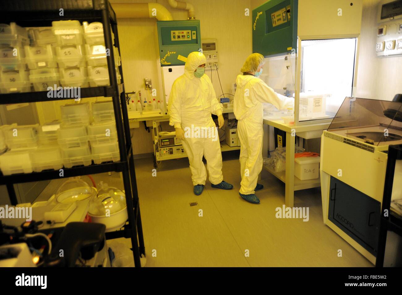 University of Ferrara (Italy), Department of Physics, scientific ...