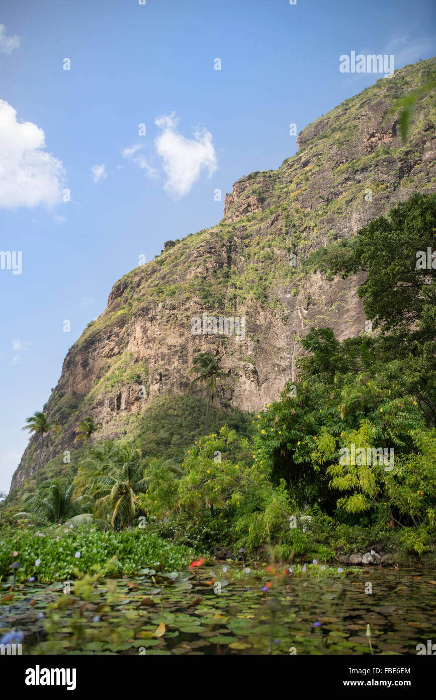 Petit Piton & palm trees seen from Sugar Beach resort, St Lucia Stock ...