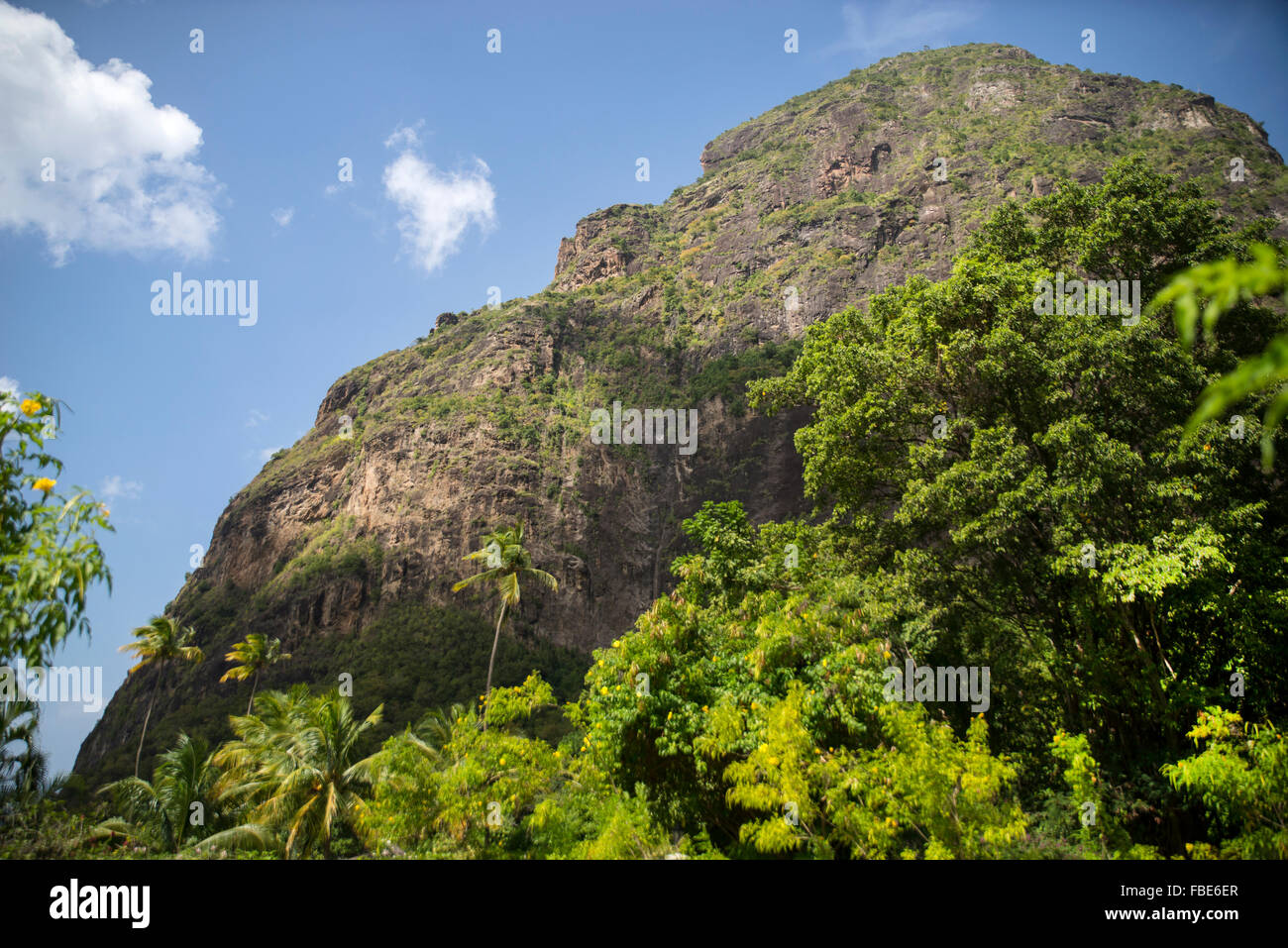 Petit Piton & palm trees seen from Sugar Beach resort, St Lucia Stock ...