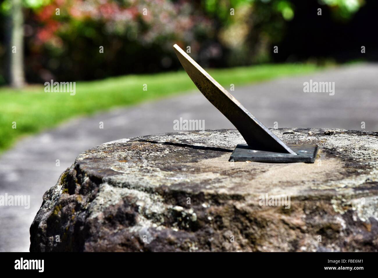 Tree stump ideas hi-res stock photography and images - Alamy