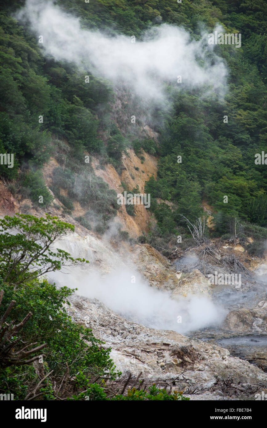 Soufriere drive in volcano st lucia hi-res stock photography and images ...
