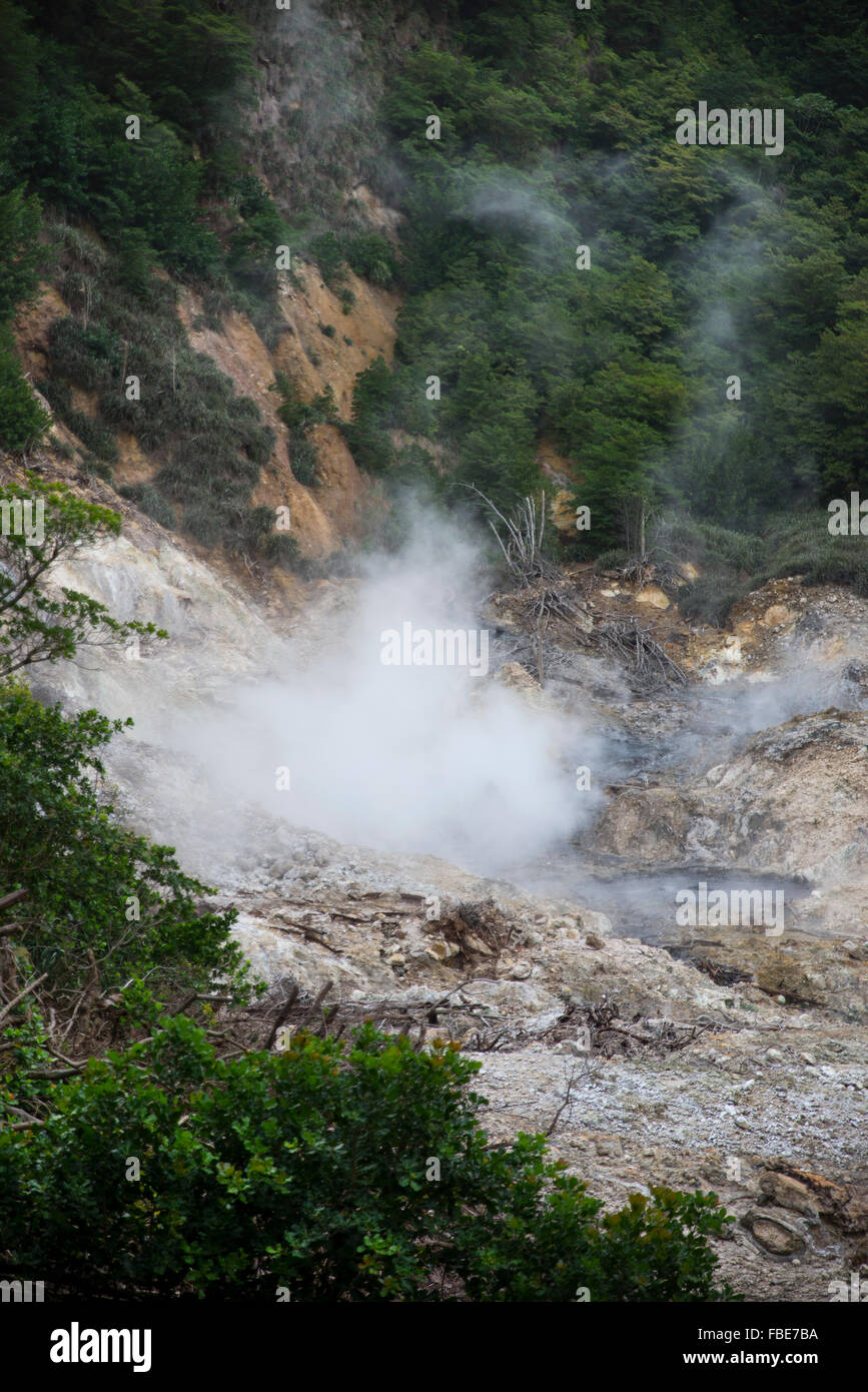 La Soufriere Drive in Volcano and sulphur springs, St Lucia Stock Photo ...