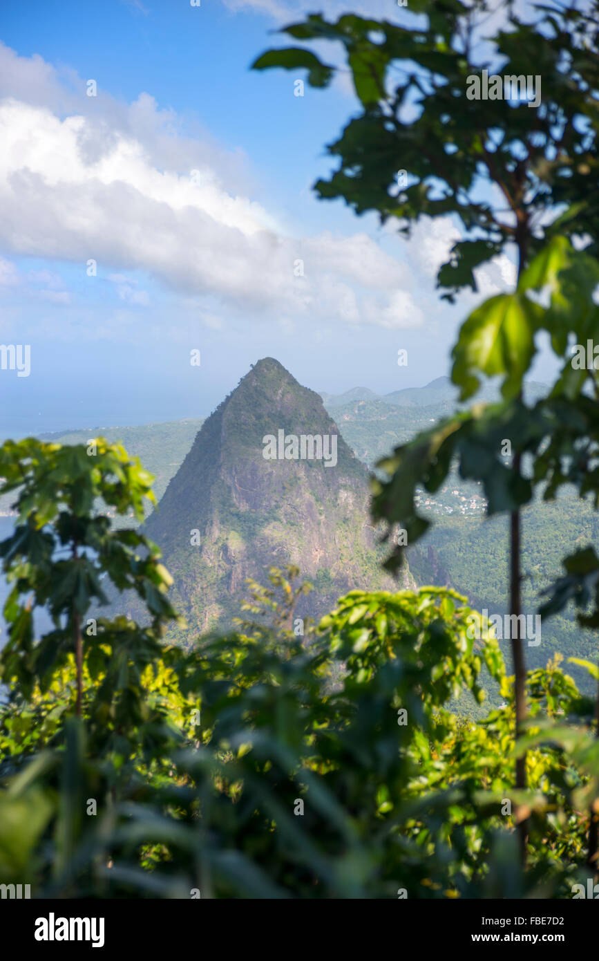 St lucia gros piton hike hi-res stock photography and images - Alamy