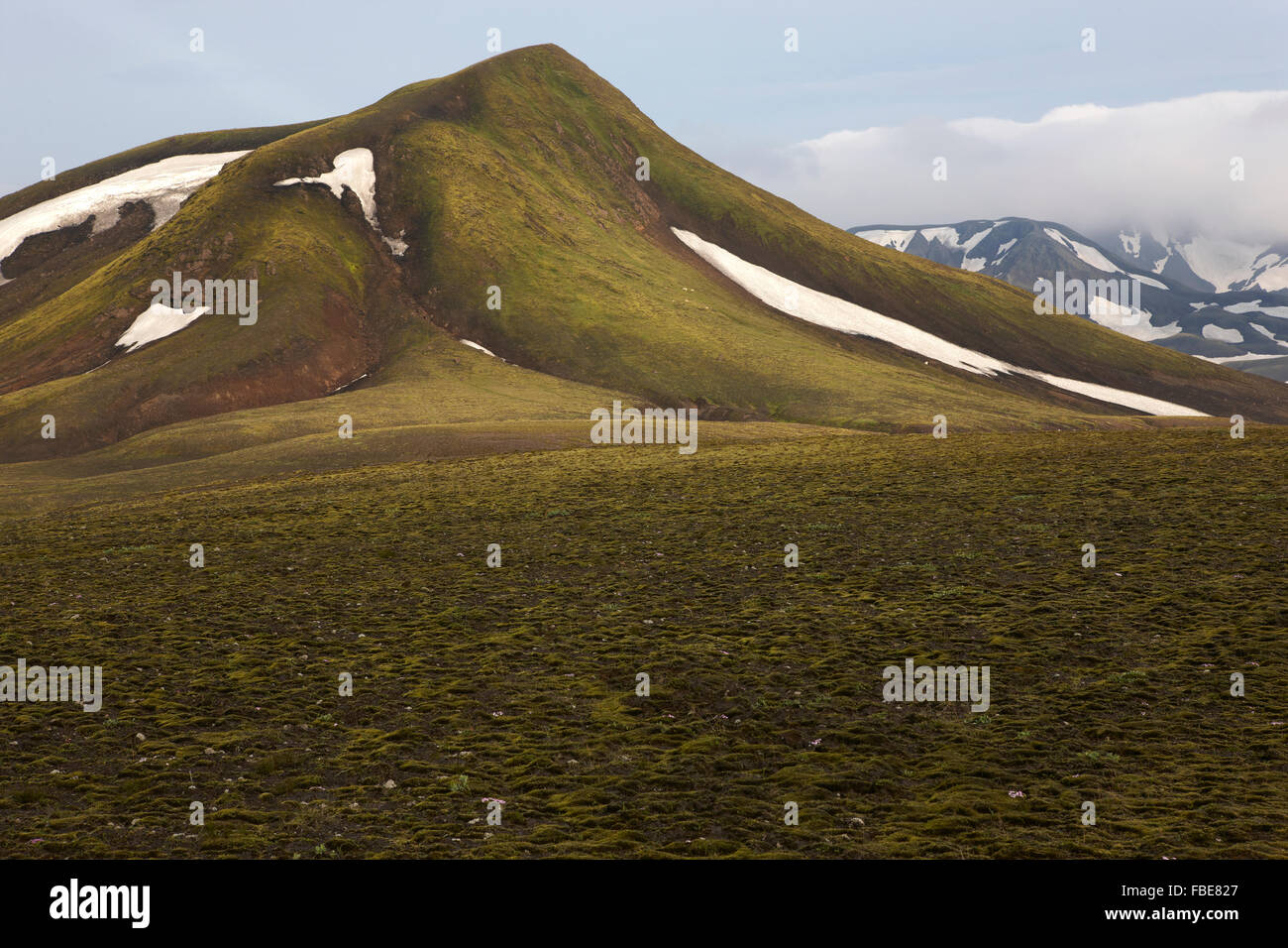 Iceland. Volcanic landscape with snow and moss Stock Photo - Alamy