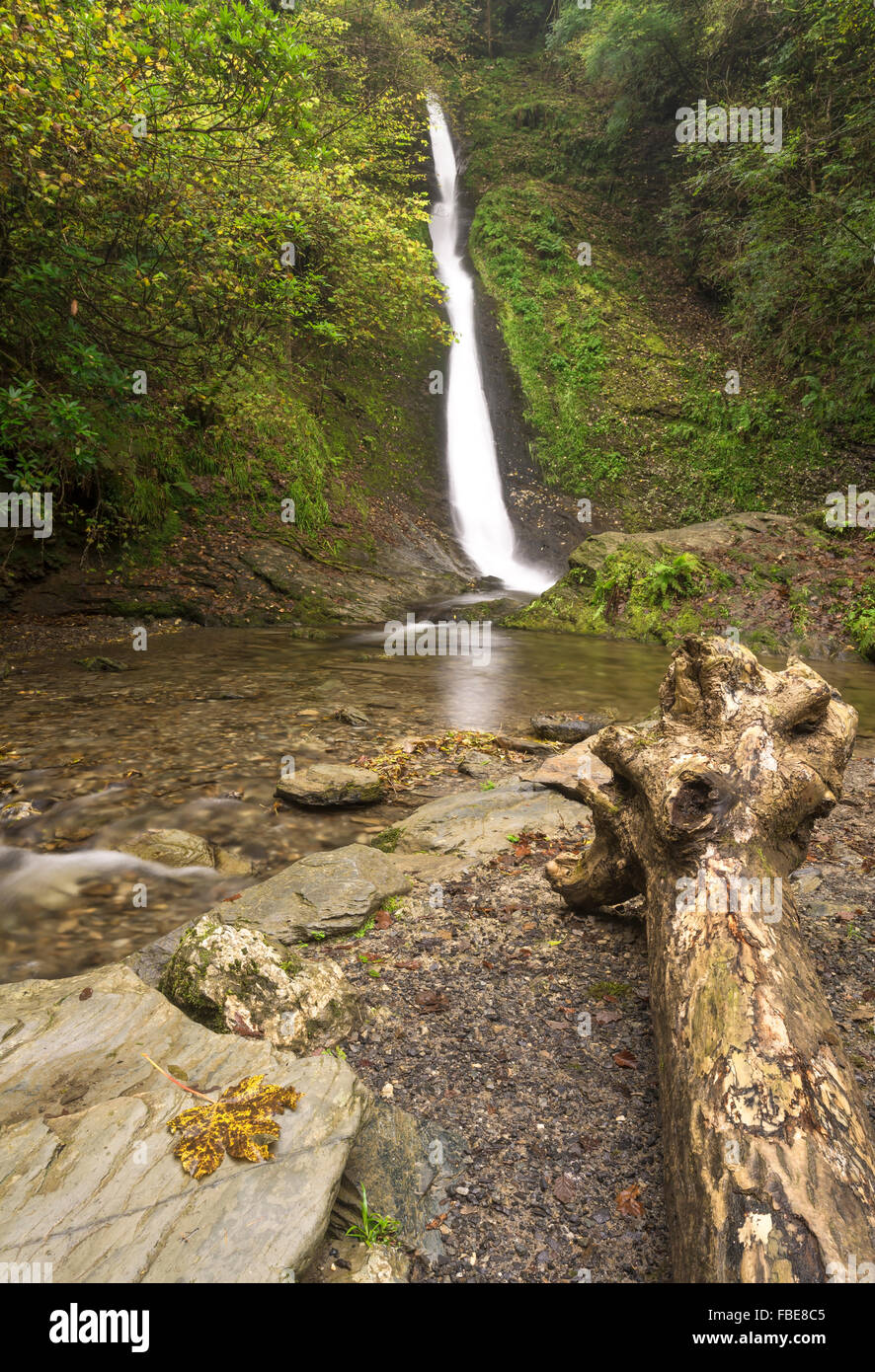 White lady waterfall devon hi-res stock photography and images - Alamy