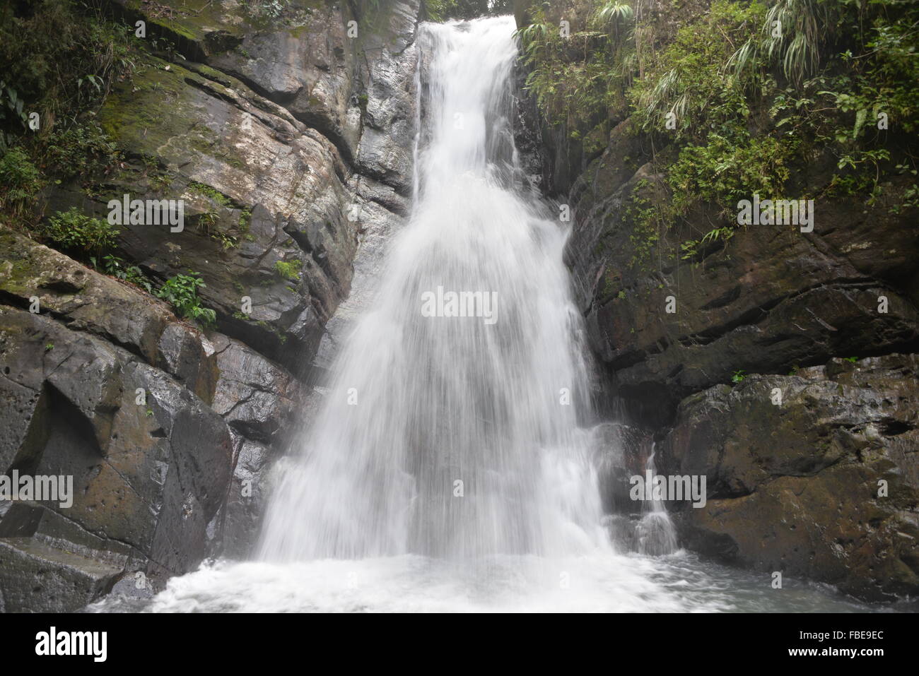 El yunque rainforest waterfall hi-res stock photography and images - Alamy