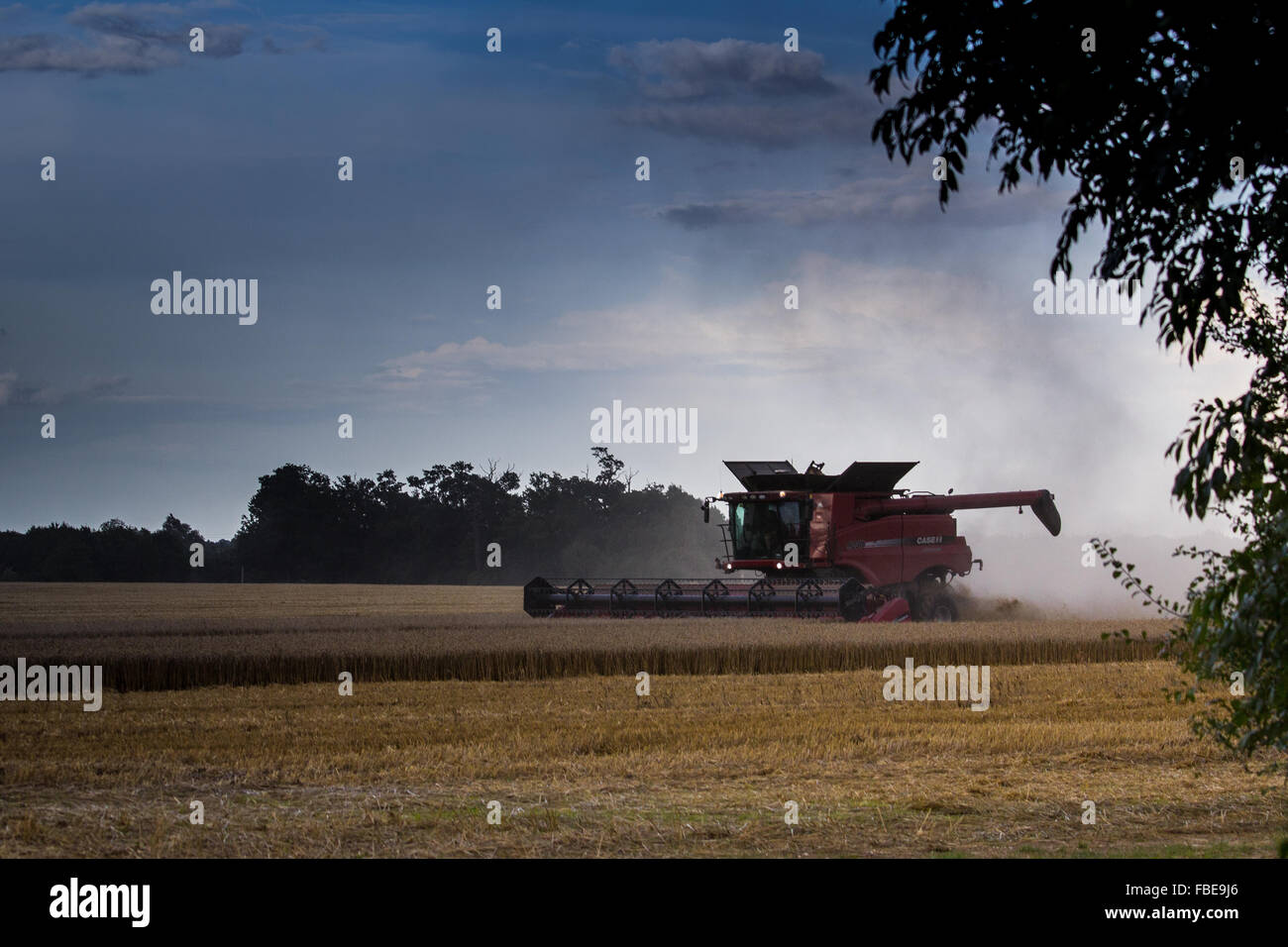 Case Combine Harvester harvesting wheat Stock Photo - Alamy