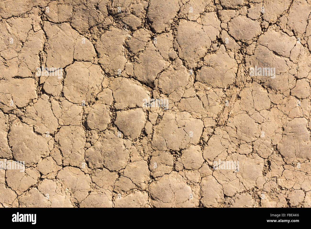 dry soil cracked earth texture Stock Photo - Alamy
