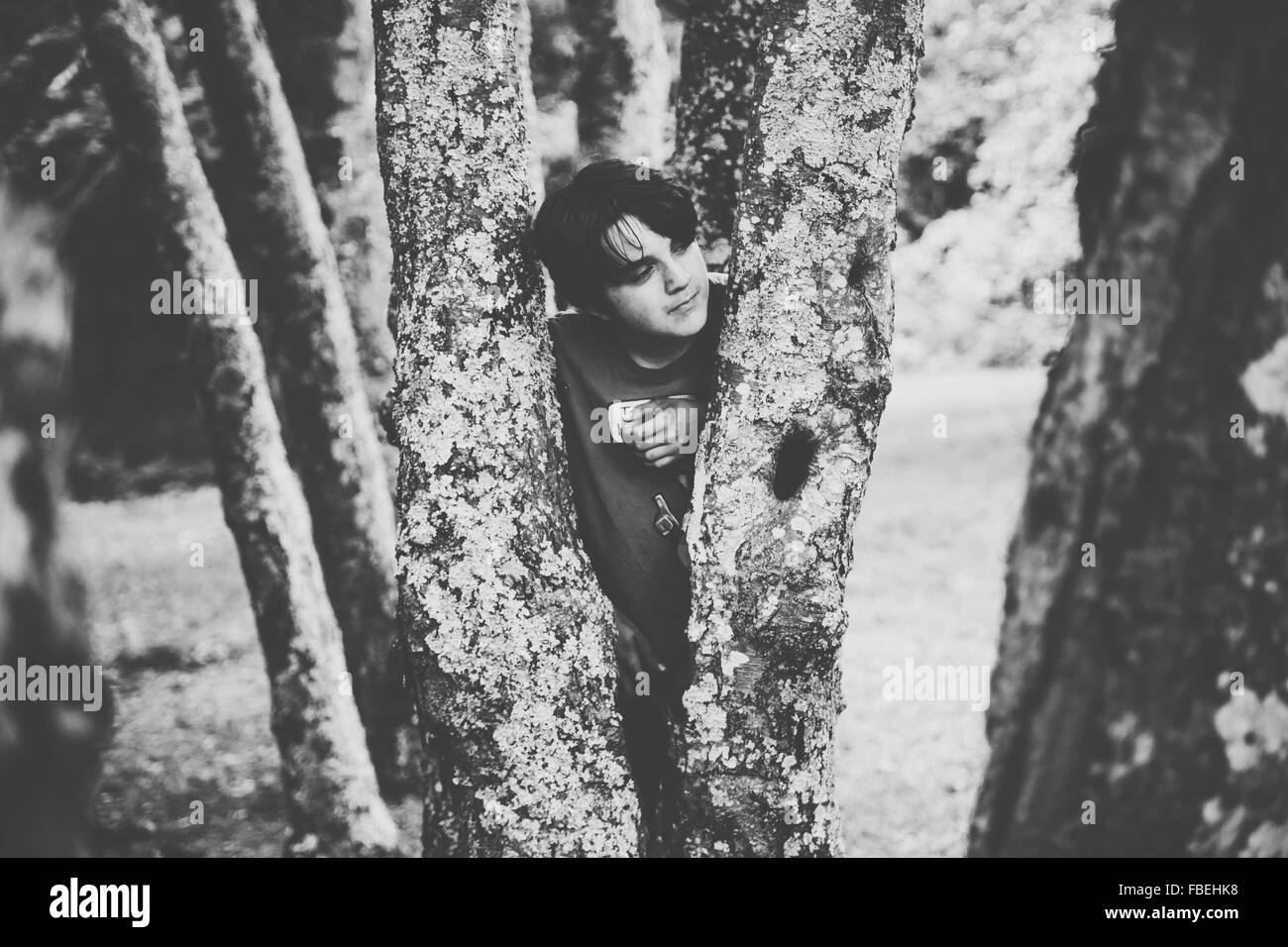 Man standing behind tree in hi-res stock photography and images - Alamy