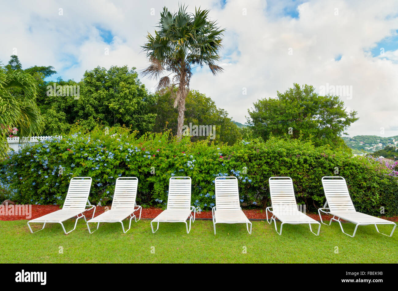 Sun chairs in tropical summer garden Stock Photo - Alamy