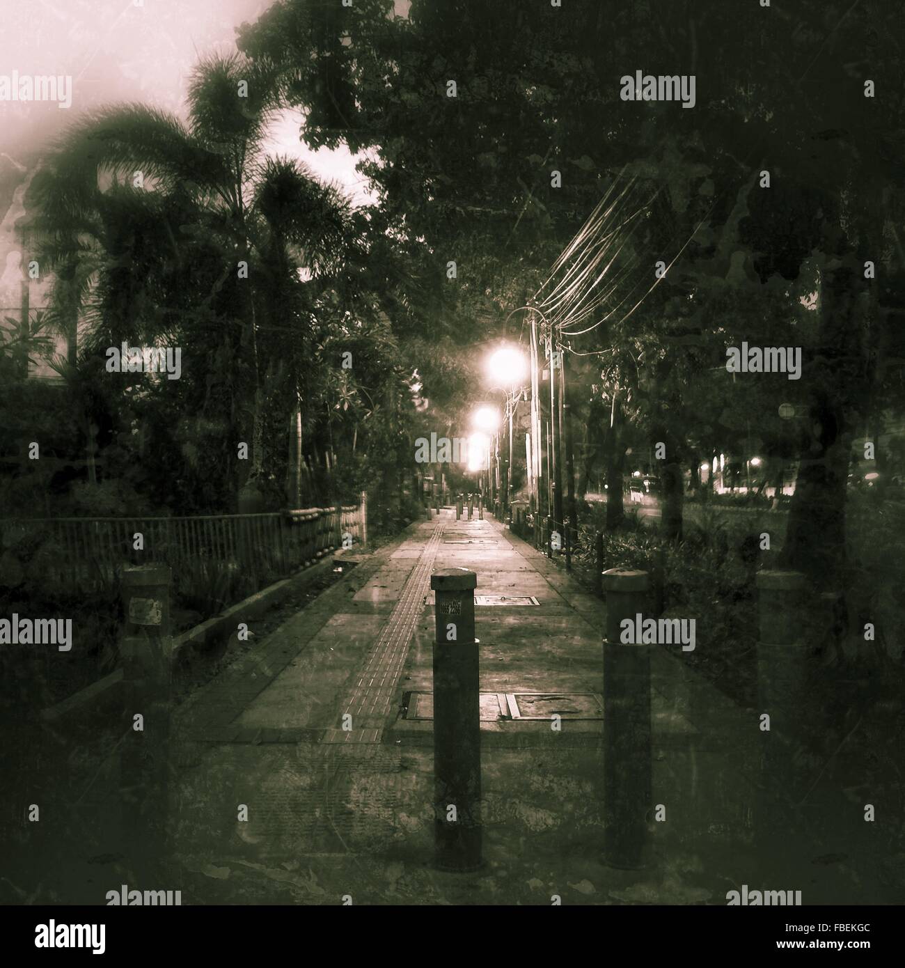 Footpath In Park At Dusk Stock Photo - Alamy