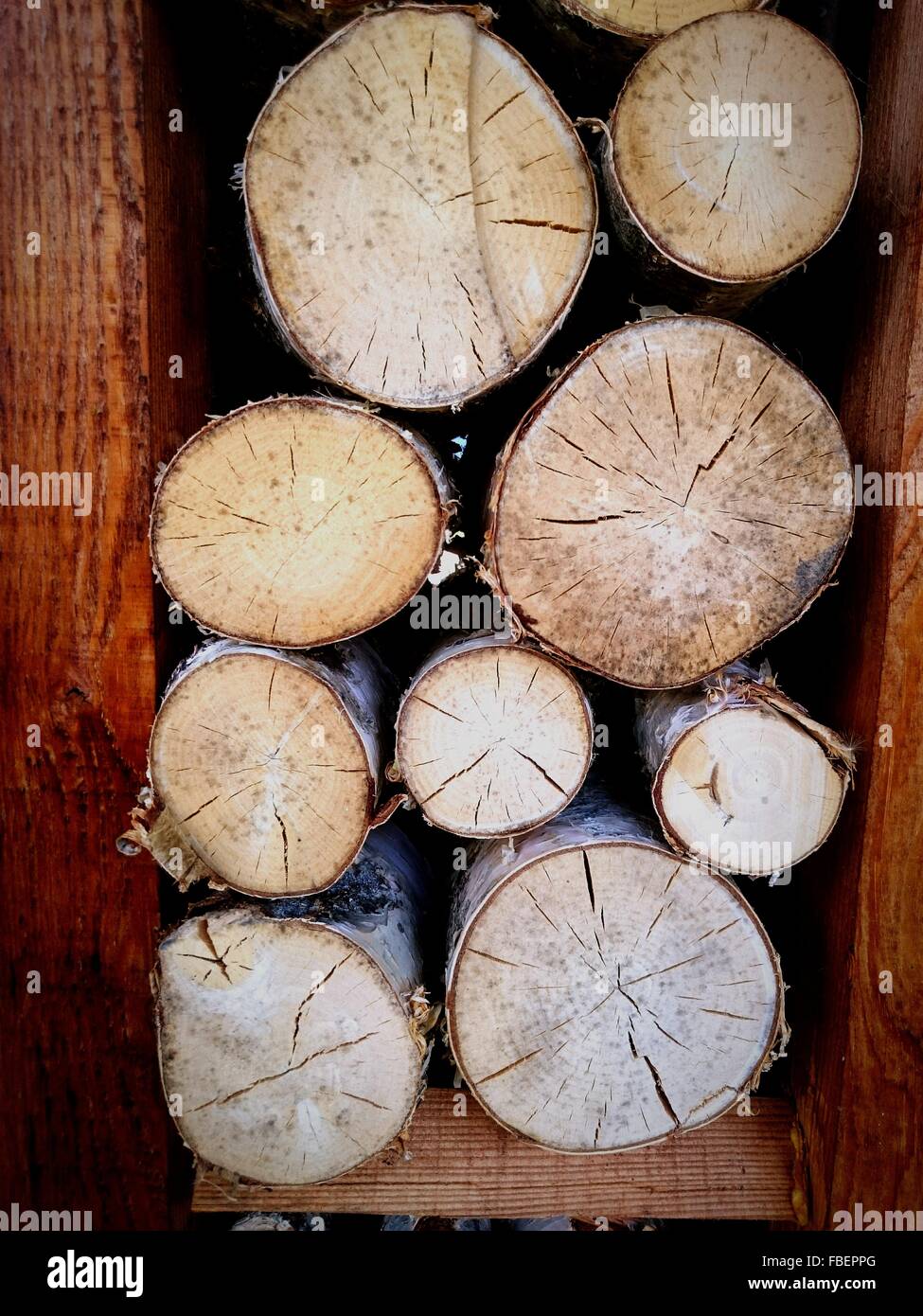 Cross section of logs hi-res stock photography and images - Alamy