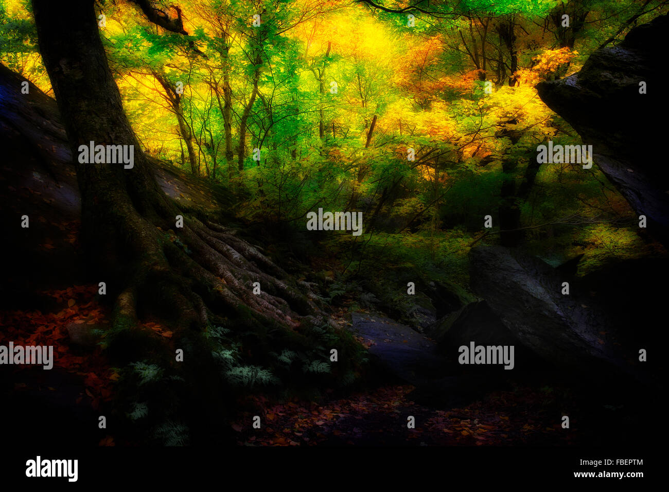 Atmospheric backlit colour hi-res stock photography and images - Alamy