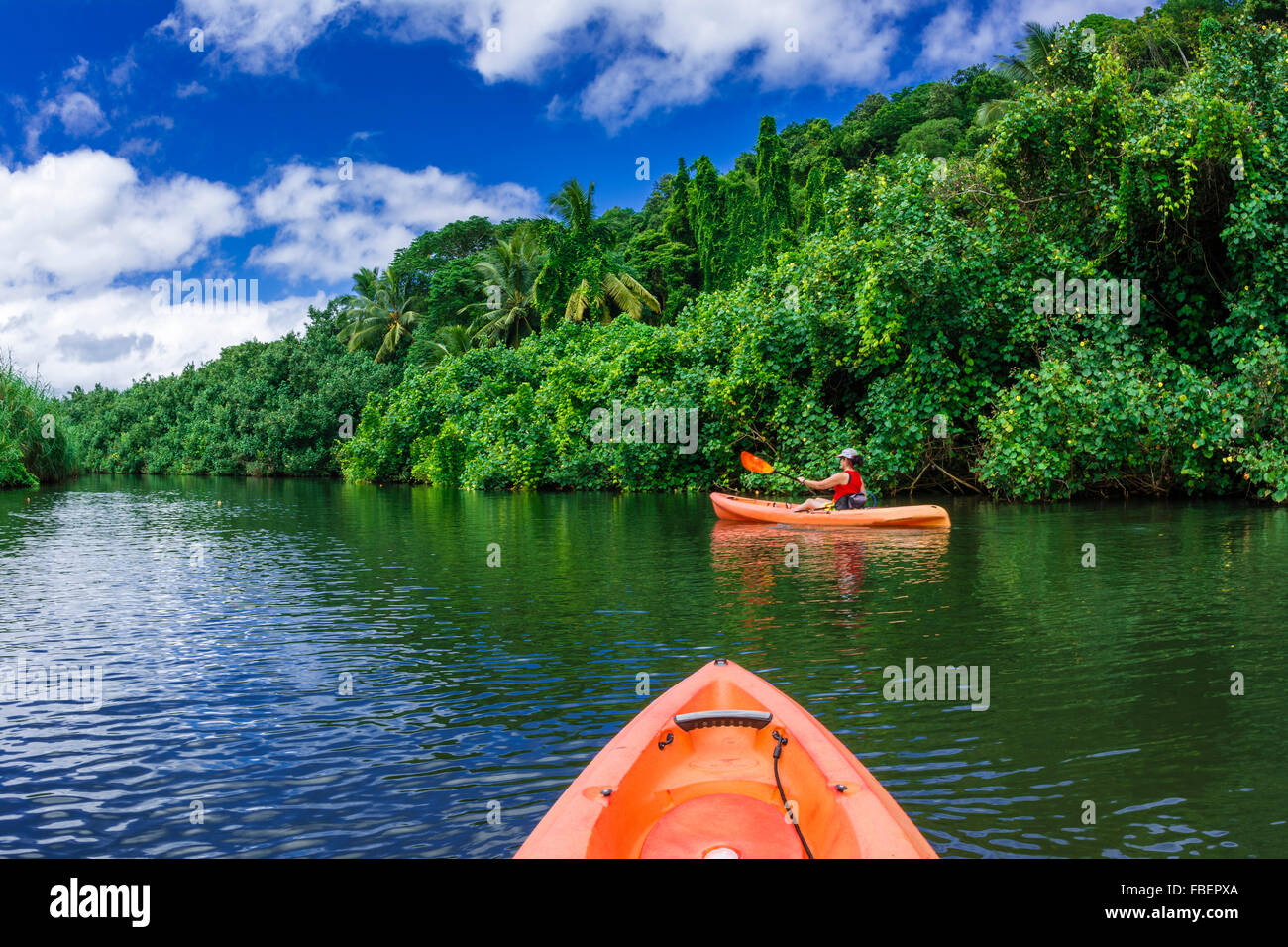 Kayaking on the Hanalei River, Hanalei, Kauai, Hawaii Stock Photo - Alamy