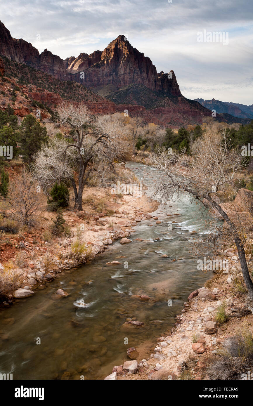 The Watchman towers above the Virgin River in Zion National Park, Utah ...