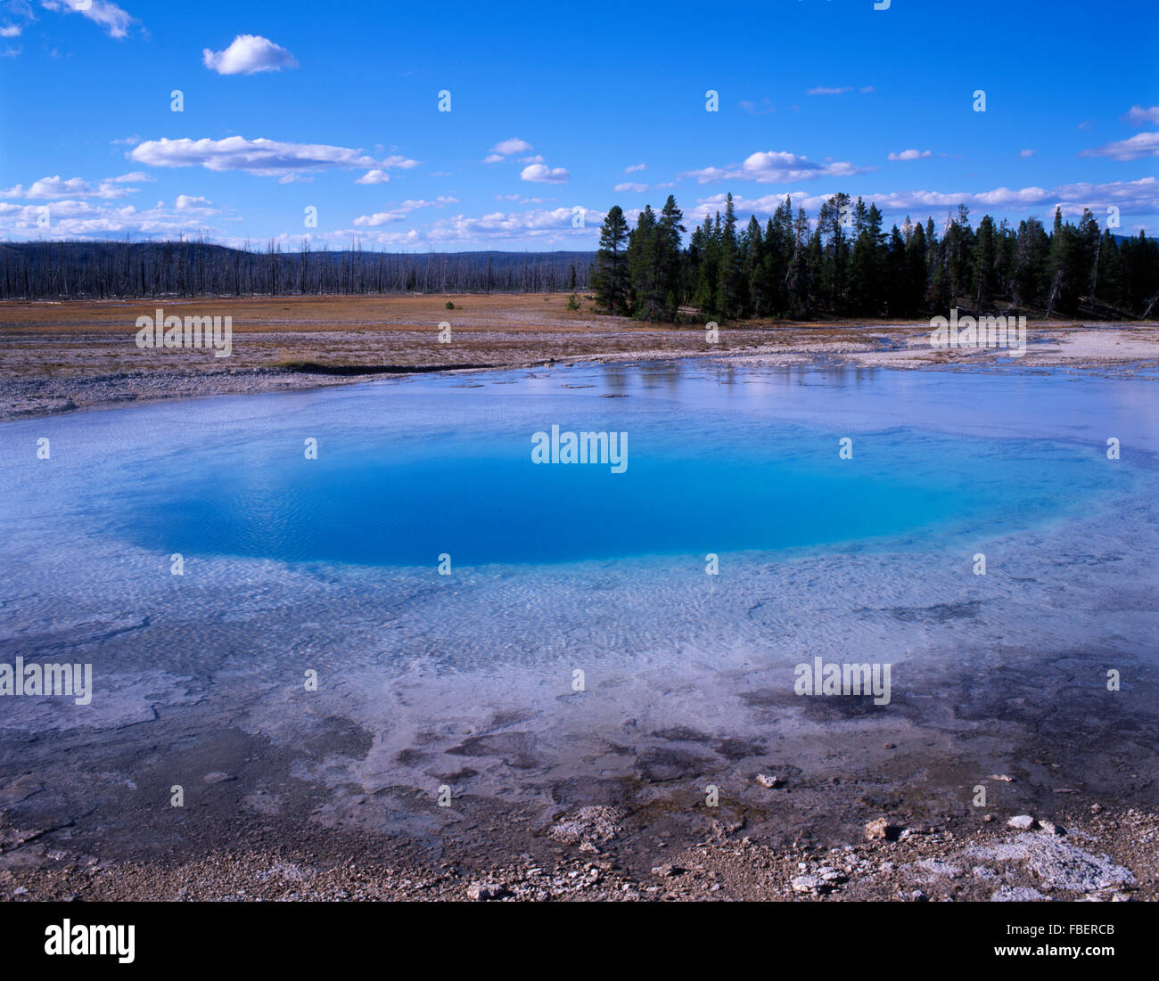 Opal Pool Yellowstone National Park Wyoming USA Stock Photo - Alamy