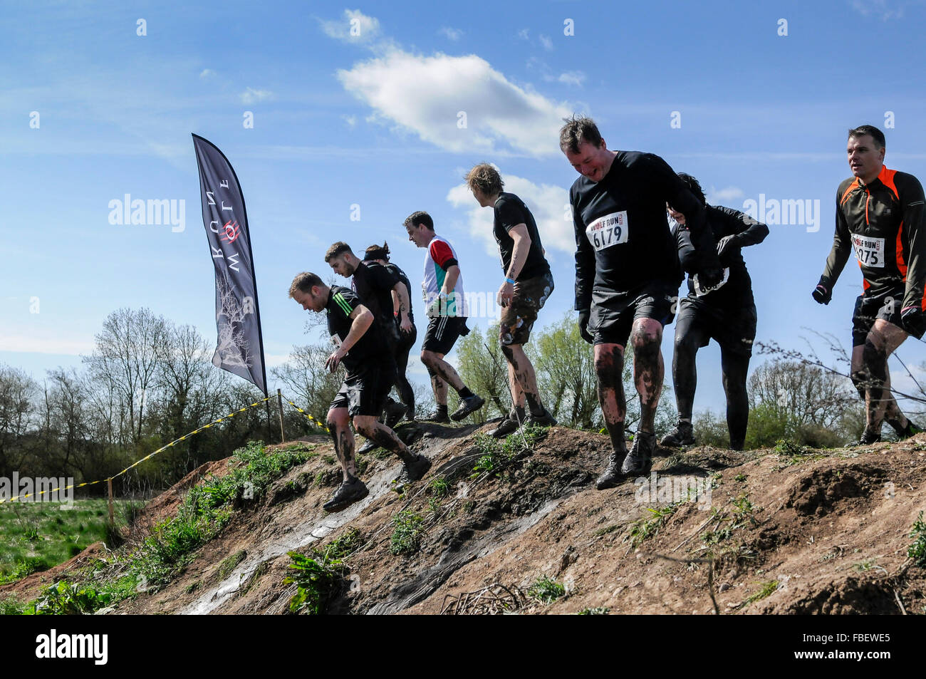 Runners at obstacle course race, UK Stock Photo - Alamy