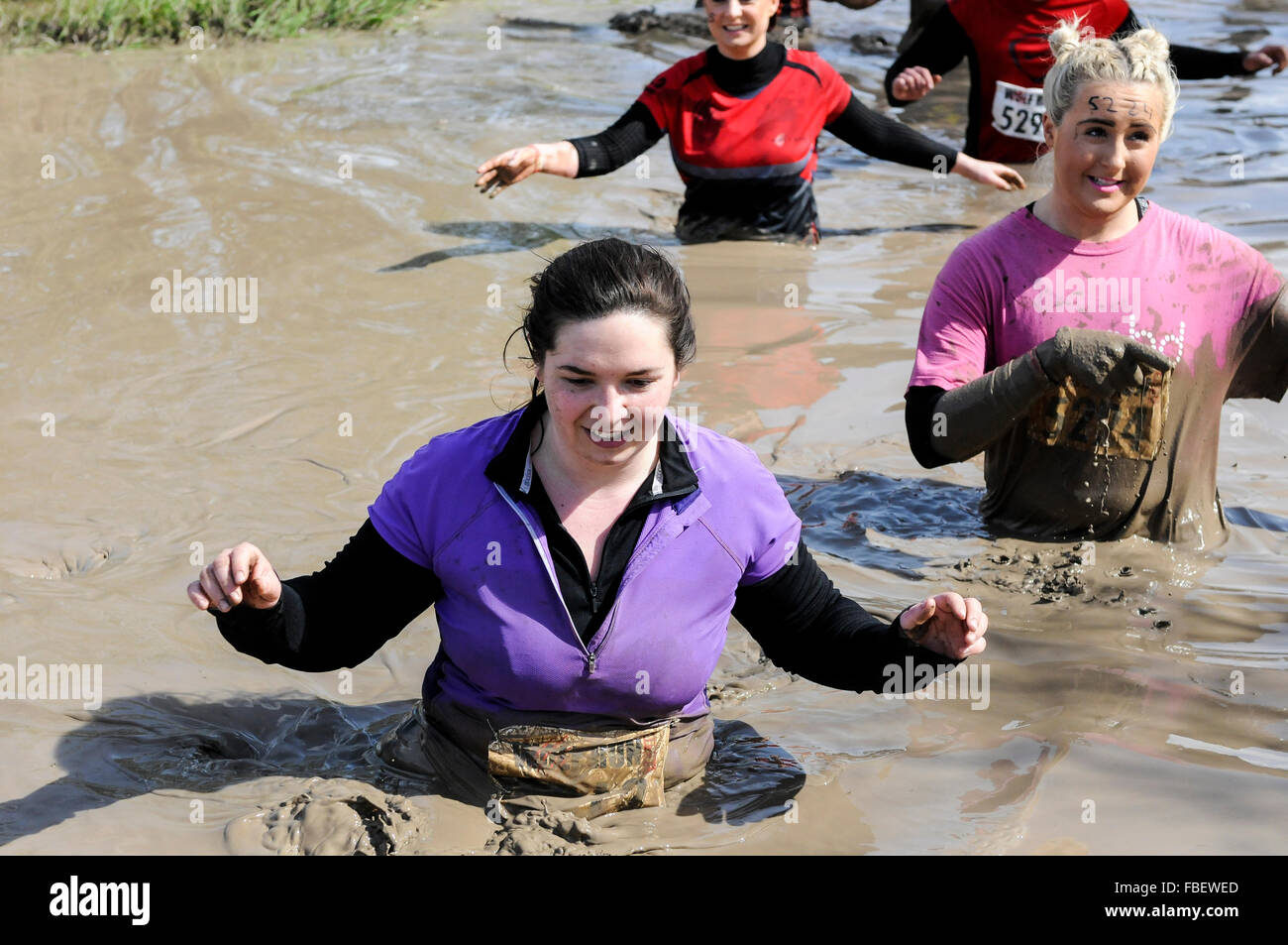 Male and female runners wading through mud lake at obstacle course race ...