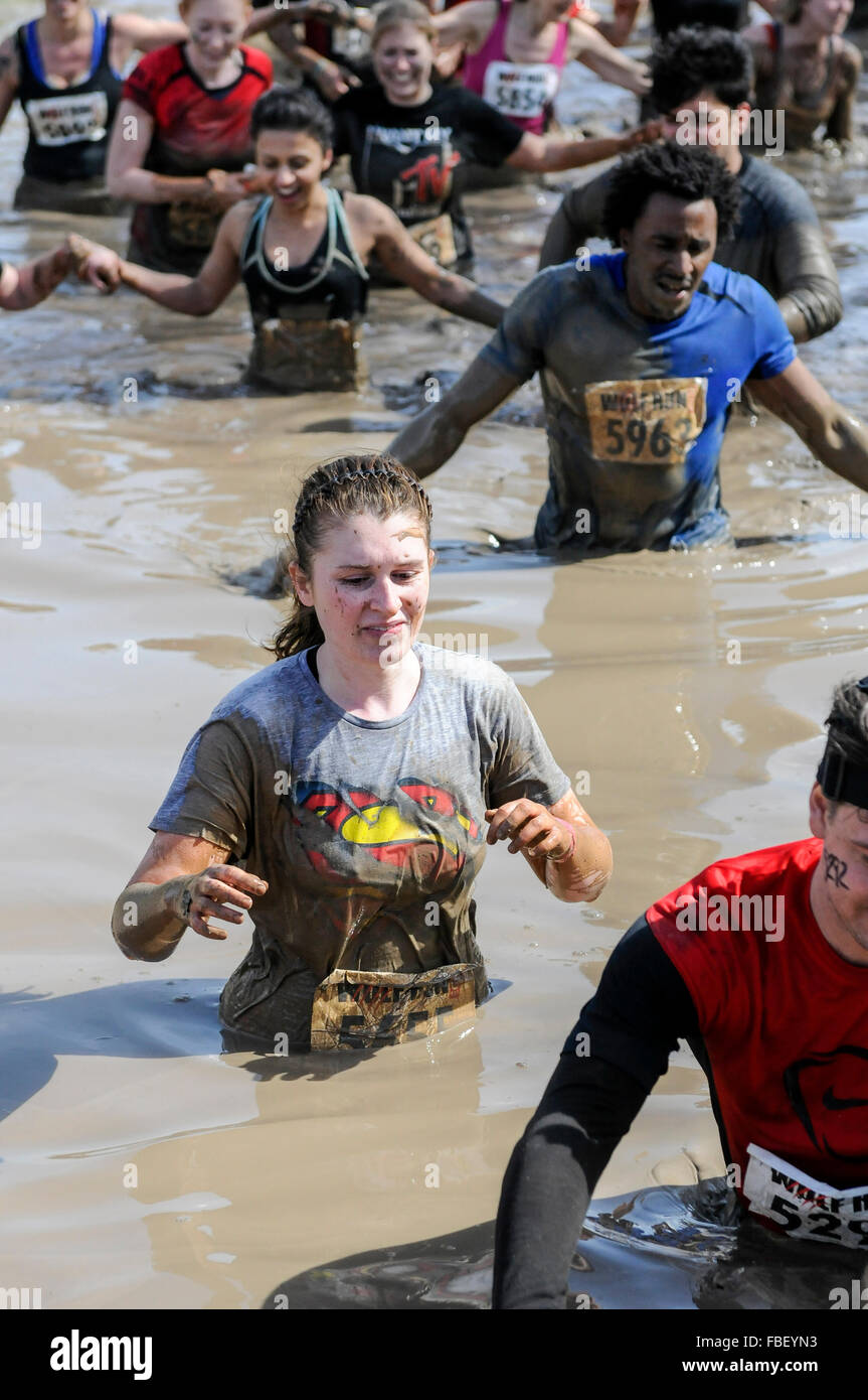 Male and female runners wading through mud lake at obstacle course race ...