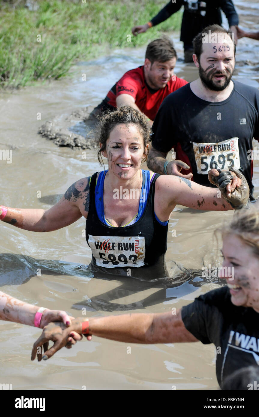 Male and female runners wading through mud lake at obstacle course race ...