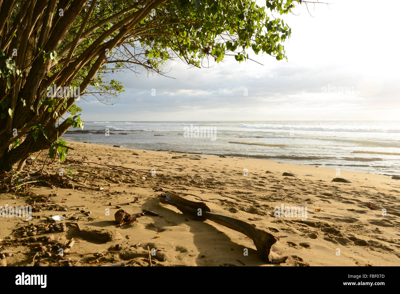 Stunning view of Maria's Beach with surfers on the horizon. Rincon ...