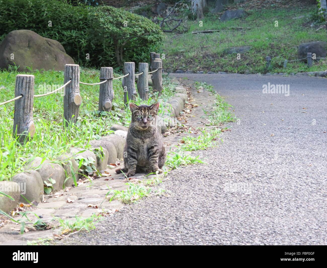 Angry Street High Resolution Stock Photography and Images - Alamy