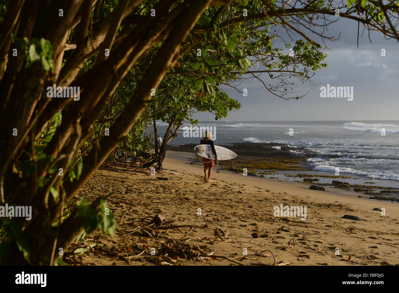 Surfer walking during stunning sunset at Maria's Beach. Rincon, Puerto ...