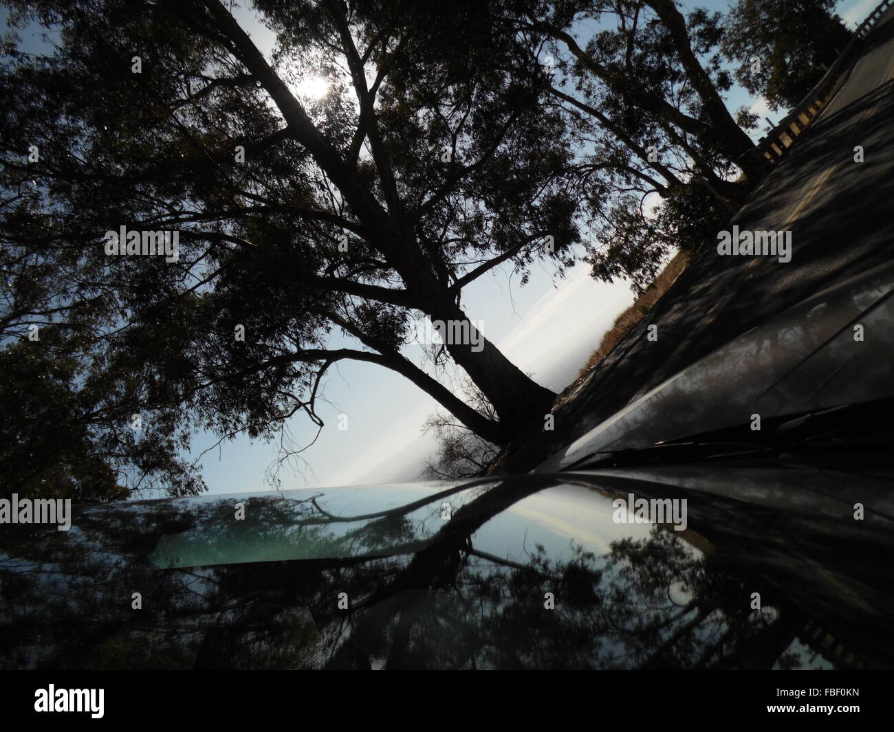 Reflection Silhouette Nature High Resolution Stock Photography and ...