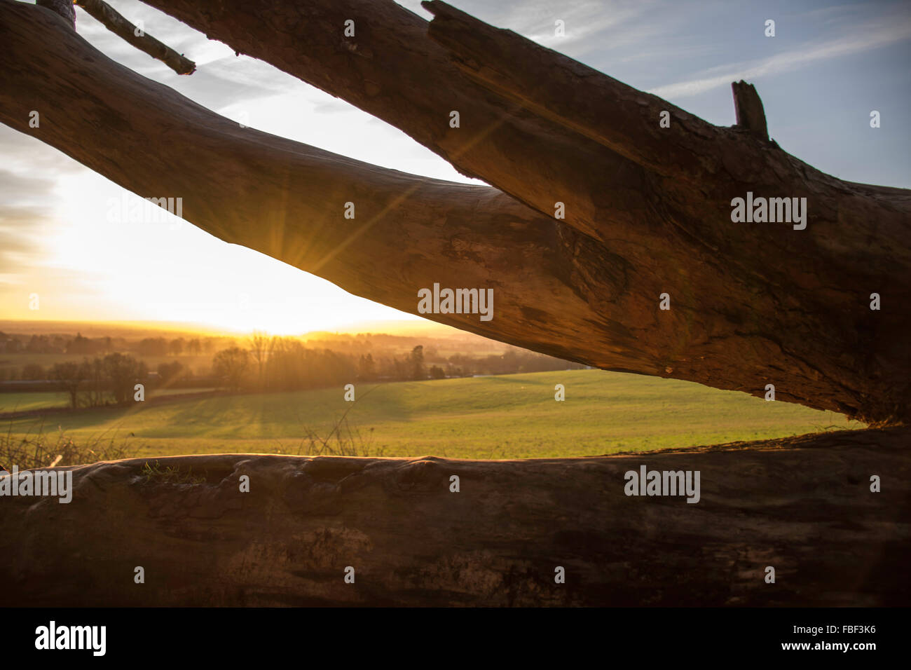 Sunrise through fallen tree hi-res stock photography and images - Alamy