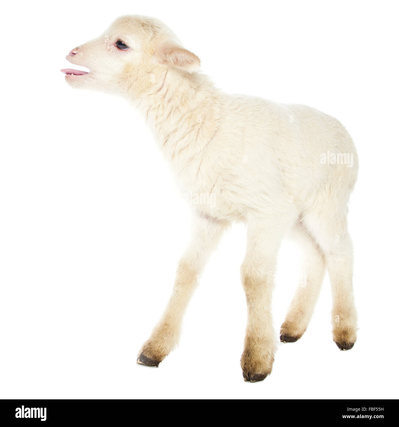 Indoors baby Cut Out Stock Images & Pictures - Alamy
