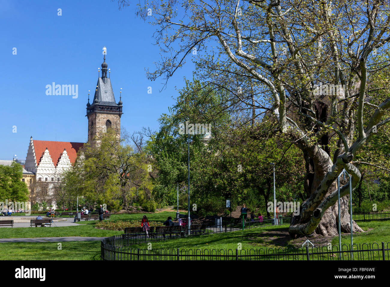 Karlovo Namesti Square, New Town Hall Tower, Charles Square Prague ...